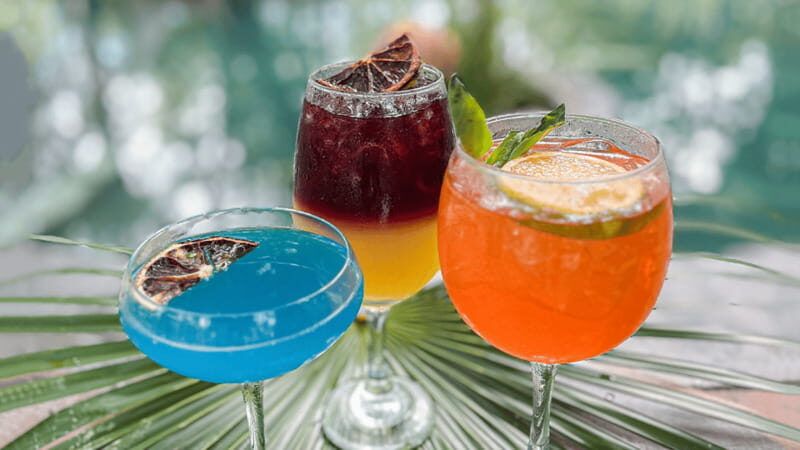 Tulum: Floating Breakfast in The Yellow Nest (Day Pass) - FAQ: Your Questions Answered