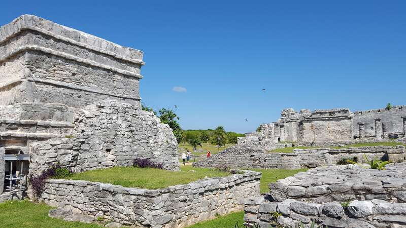 Tulum: Guided Bike Tour of Tulum Ruins, Tacos & Cenote - Tacos and Culinary Delights