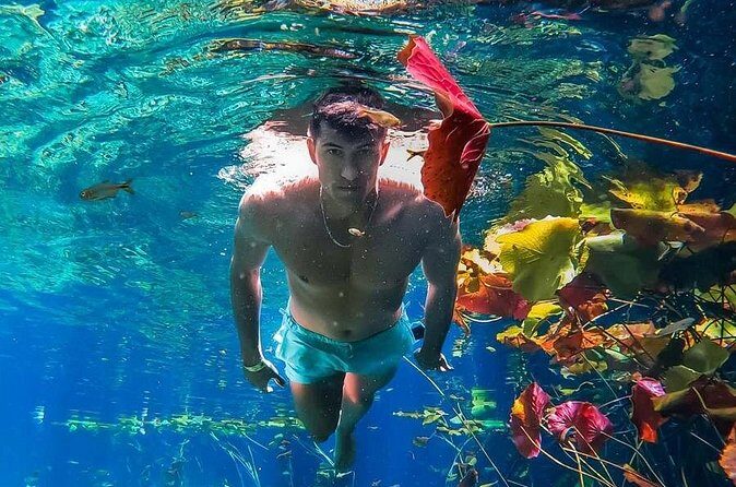 Tulum Insta Experience - FAQs