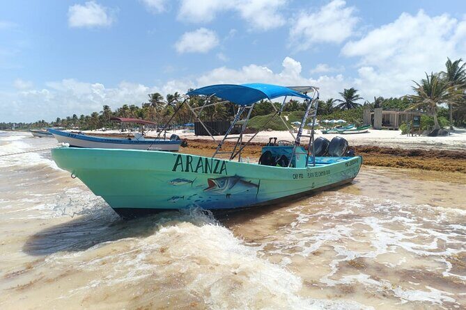 TULUM Jaguar Park Day Pass - Authentic Traveler Perspectives (Based on Review Quotes)