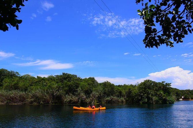 Tulum & Jungle Adventure Private Tour - What Sets This Tour Apart