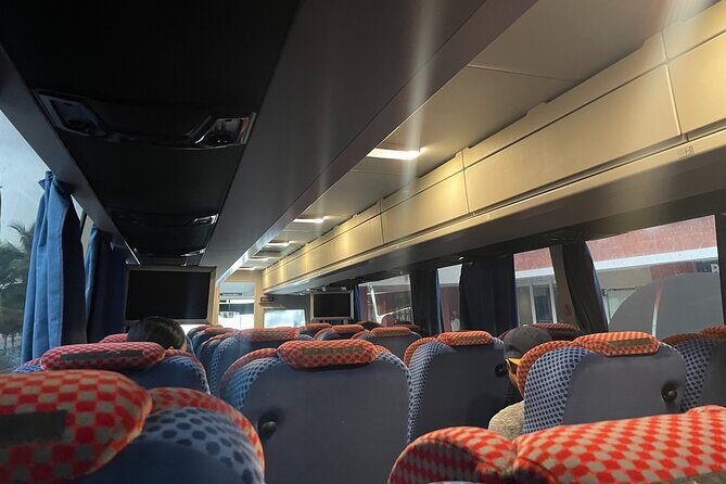 Tulum Las Coloradas and Rio Lagartos Pink Lagoon and Flamingos - An In-Depth Look at the Experience