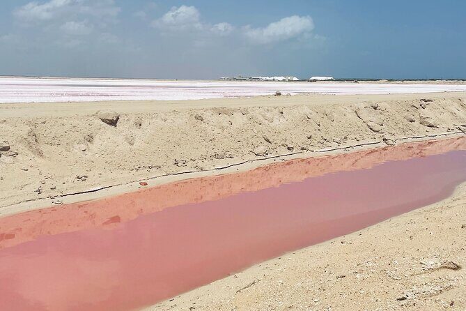 Tulum Las Coloradas and Rio Lagartos Pink Lagoon and Flamingos - FAQ