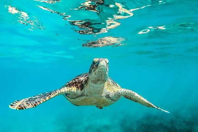 Tulum: Mayan Ruins and Snorkeling Adventure - FAQ