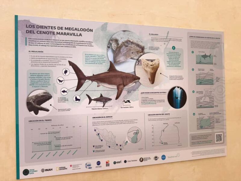 Tulum: Mayan Ruins, Snorkeling, and Jaguar Park Tour - The Sum Up