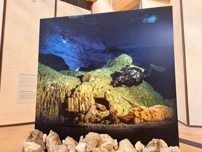 Tulum: Mayan Ruins, Snorkeling, and Jaguar Park Tour - FAQs