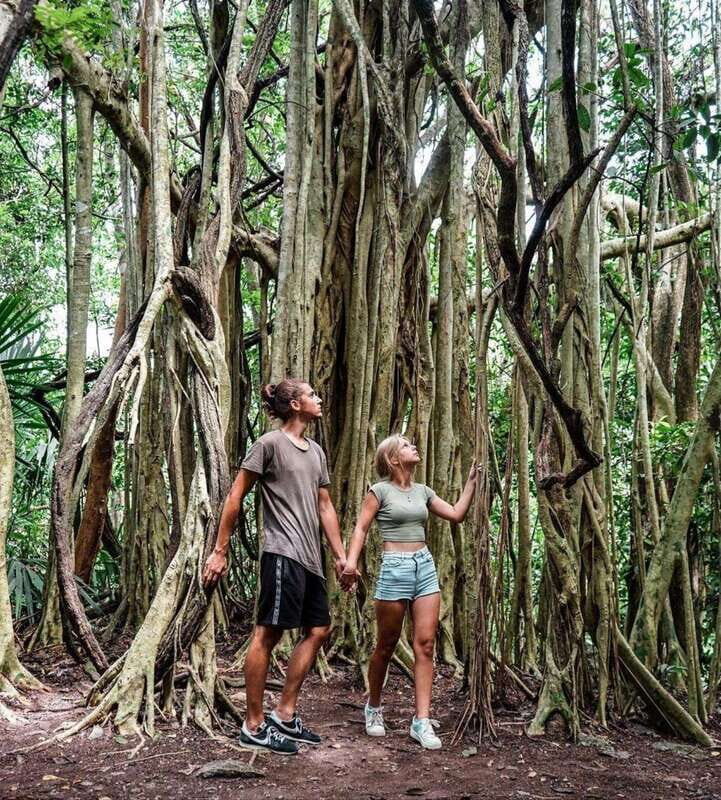 Tulum: Monkey Sanctuary Adventure - The Experience in Practice