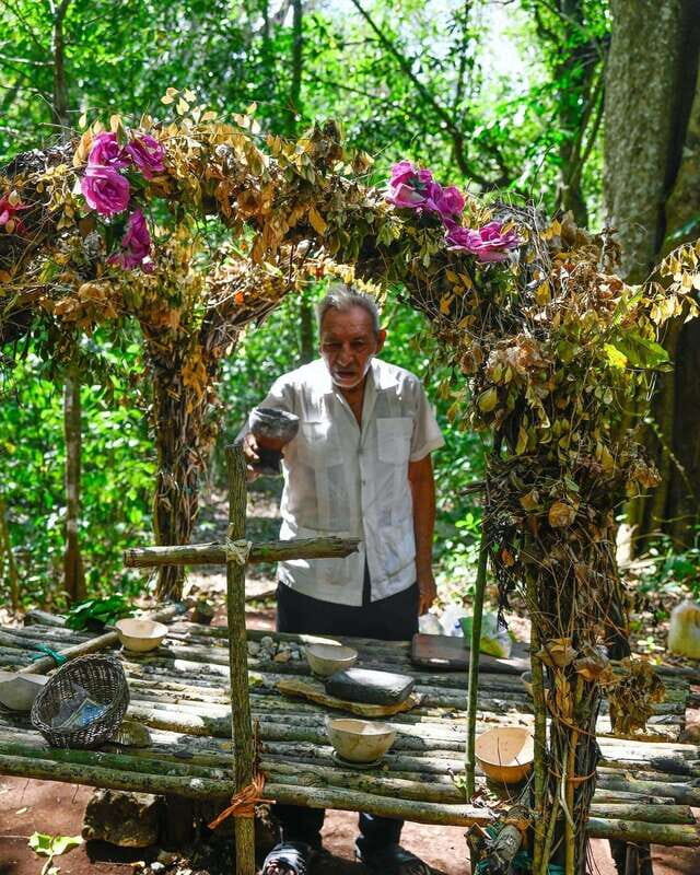 Tulum: Monkey Sanctuary Adventure - Why This Tour Works and Who It’s For