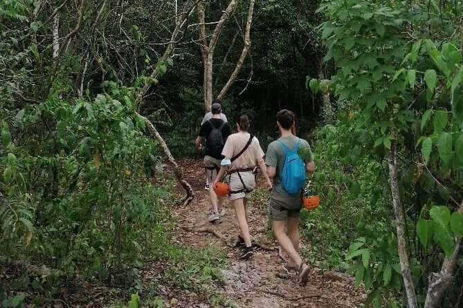 Tulum Monkey Sanctuary Tour Punta Laguna - A Closer Look at the Experience