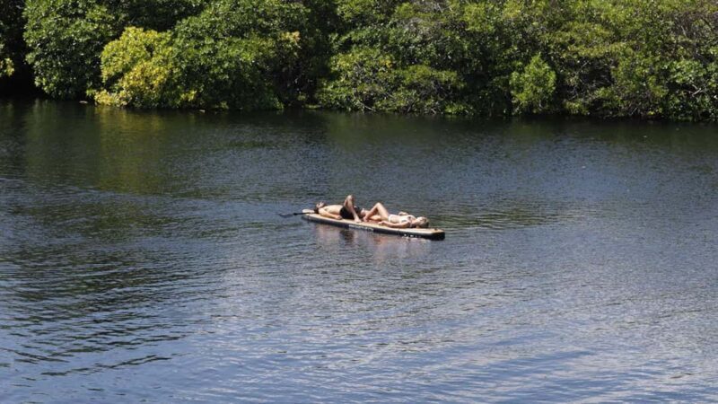 Tulum: Pargo Restaurant Cenote Dining Experience - Exploring the Experience in Detail