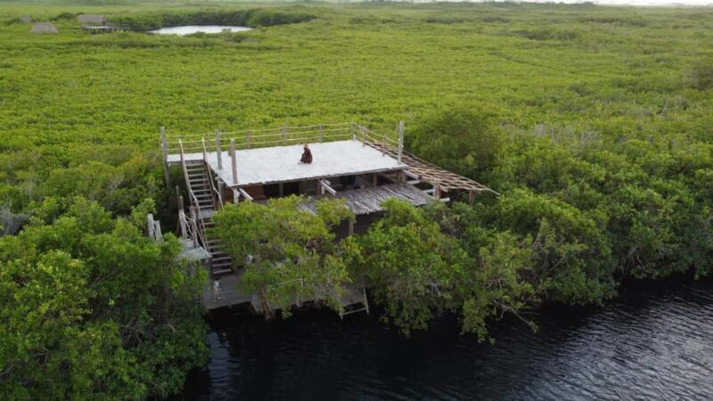 Tulum: Pargo Restaurant Cenote Dining Experience - Final Thoughts: Is It Worth It?
