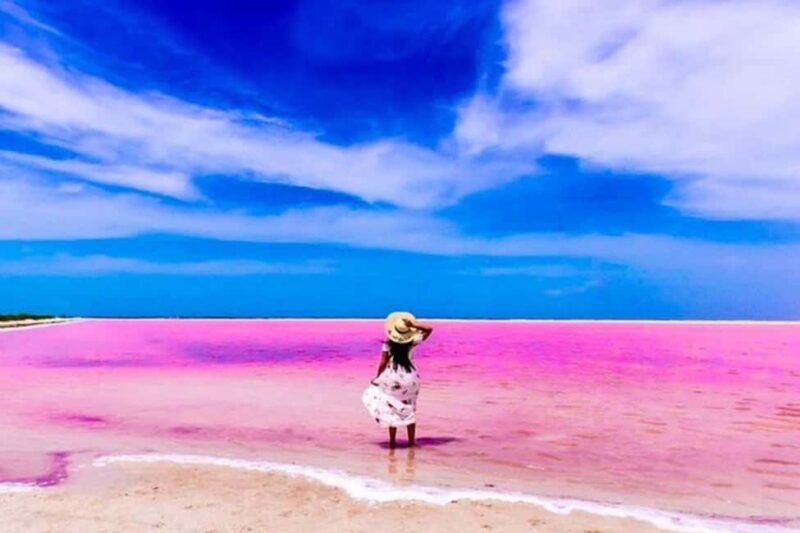 Tulum: Pink Lake, Rio Lagartos, Crocodile Flamingo Adventure - Final Thoughts