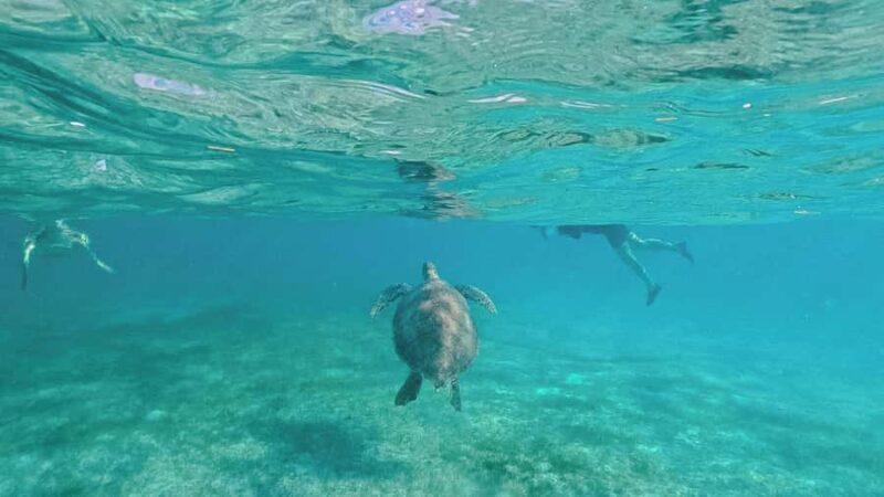 Tulum Platinum Tour with Akumal Turtles & Nohoch Cenote - Practical Details and What to Expect