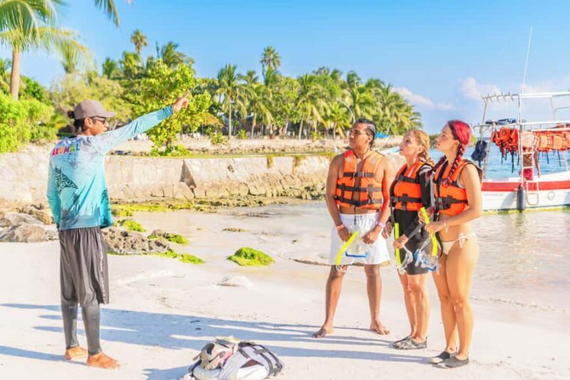 Tulum Platinum Tour with Akumal Turtles & Nohoch Cenote - The Sum Up