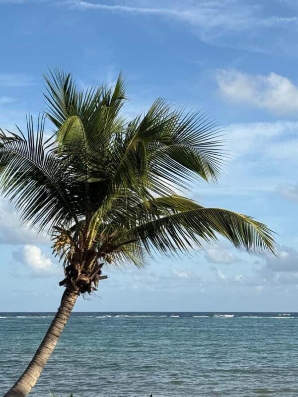 Tulum: Private Beach Photo and Video Session - Why You Should Consider This Tour