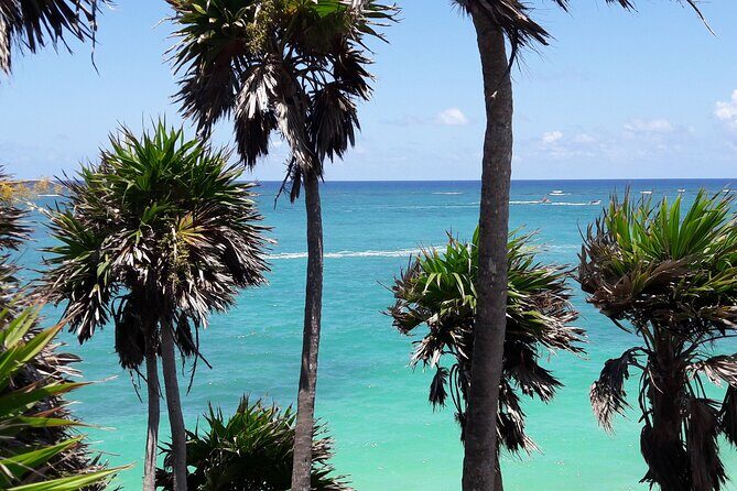 Tulum Private Boat Tour & Turtle Snorkeling Experience - FAQ