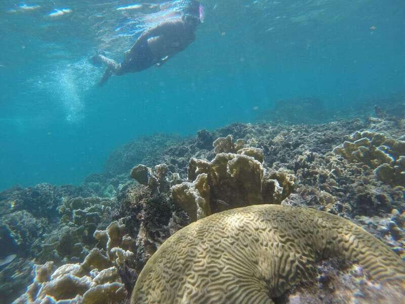 Tulum: Private Snorkel and Sailing Experience - A Detailed Look at the Experience
