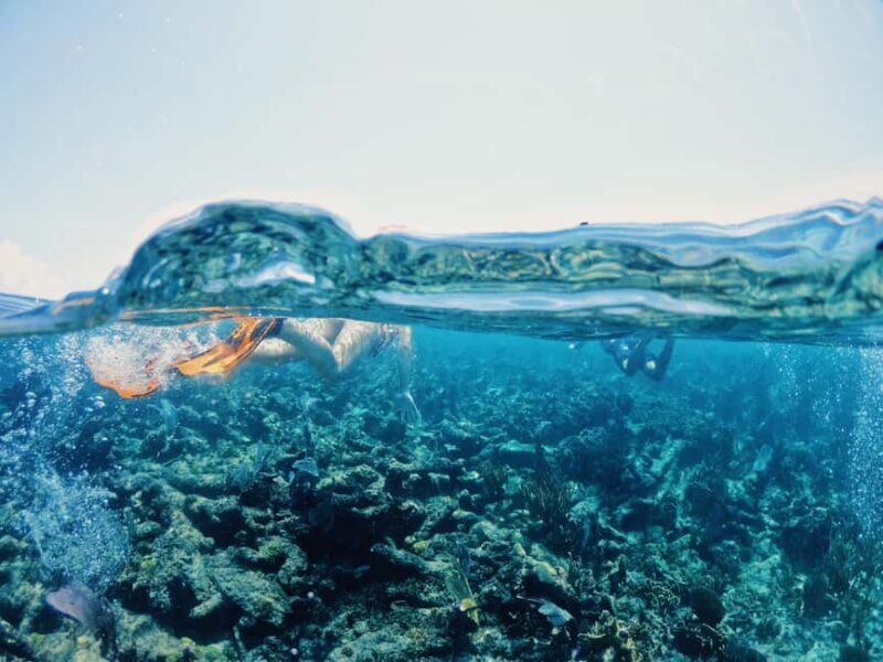 Tulum: Private Snorkel and Sailing Experience - Who Is This Tour Perfect For?