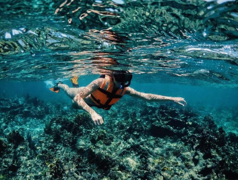 Tulum: Private Snorkel and Sailing Experience - In Closing