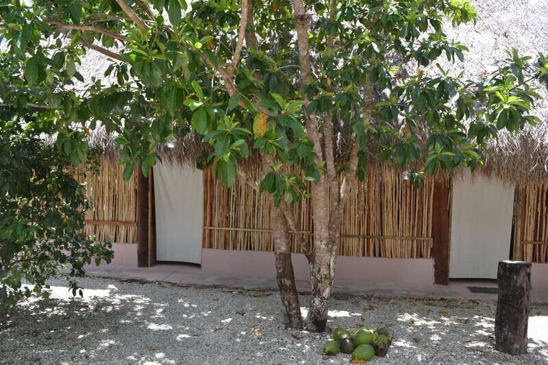 Tulum: Raw Honey & Chocolate Tour with Vegan Lunch & Cenote - The Sum Up