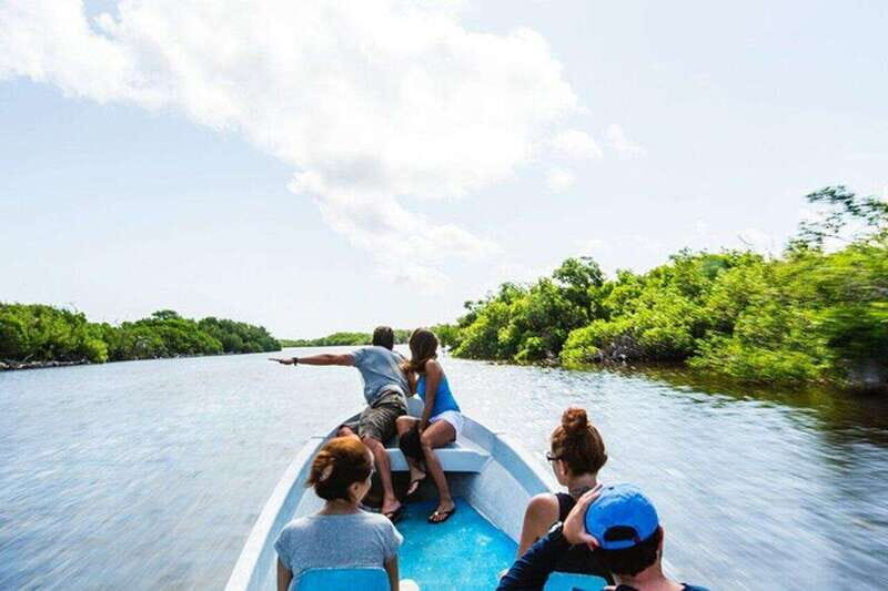 Tulum: Rio Lagartos Biosphere & Coloradas Pink Lake! Guided - An In-Depth Look at the Tour