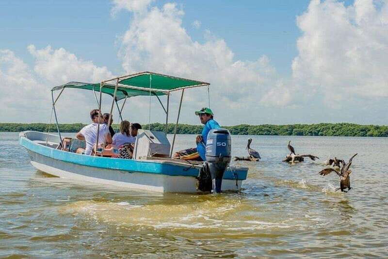 Tulum: Rio Lagartos Biosphere & Coloradas Pink Lake! Guided - Final Thoughts