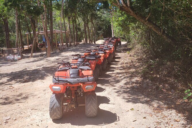 Tulum Ruins ATV Adventure and Cenote Swim with Mexican Food - Practical Details and Value