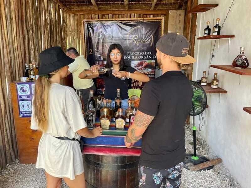 Tulum: Ruins by Boat, Swim with Turtles & Cenote Tour - Snorkeling with Marine Life: Encountering Sea Turtles and More