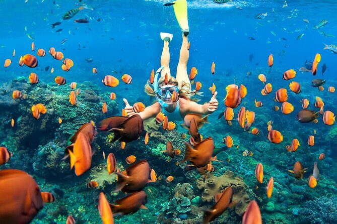 Tulum: Ruins, Reef & Cenote Small Group Day Trip - Frequently Asked Questions