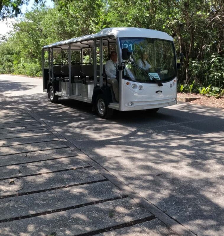 Tulum ruins, snorkel at the reef, and cenote - Practical Details: What to Expect and What to Bring