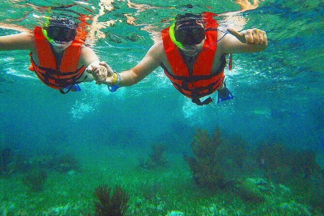 Tulum Ruins Snorkel with Sea Turtle and Cenotes Private Tour - Final Thoughts