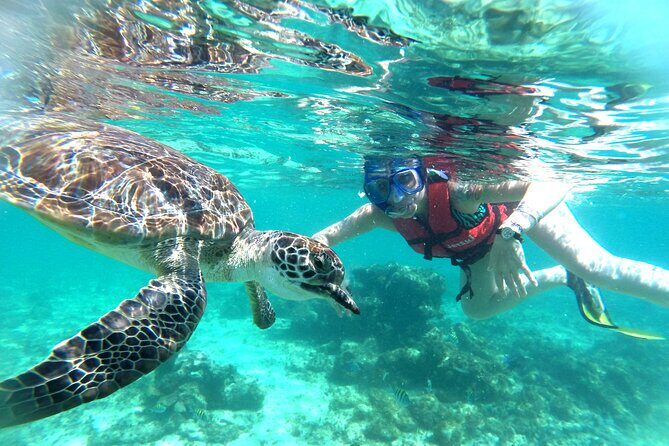 Tulum Ruins, Snorkeling with Turtles and Underground Caves - Introduction: Discovering the Heart of Riviera Maya in One Day