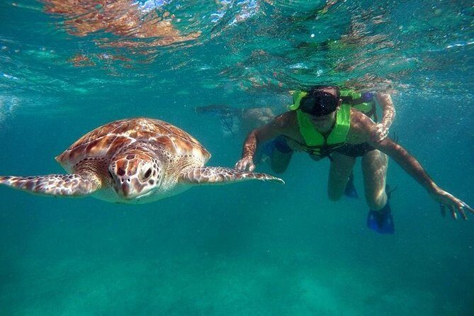 Tulum ruins swim with turtles in Akumal and Cenote - The Day in Detail: A Closer Look at the Tour