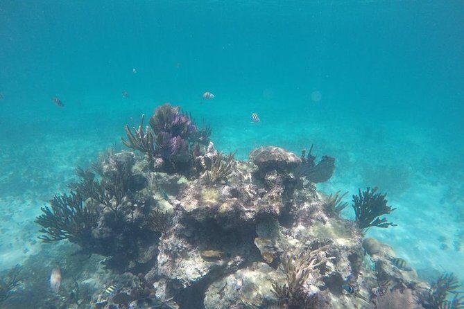 Tulum ruins swim with turtles in Akumal and Cenote - Who Should Book This Tour?