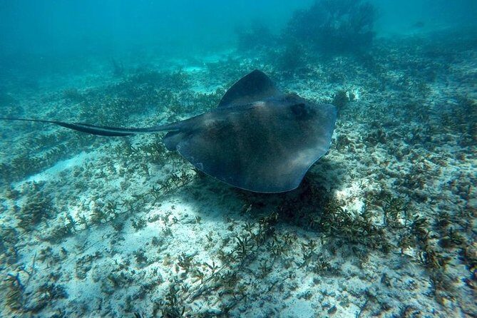 Tulum ruins swim with turtles in Akumal and Cenote - Final Thoughts: Is it Worth It?