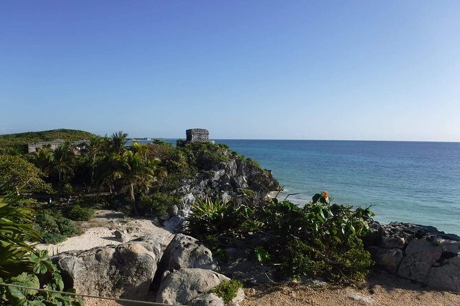 Tulum Ruins Tour (Private, Half Day) - The Itinerary Breakdown: What to Expect