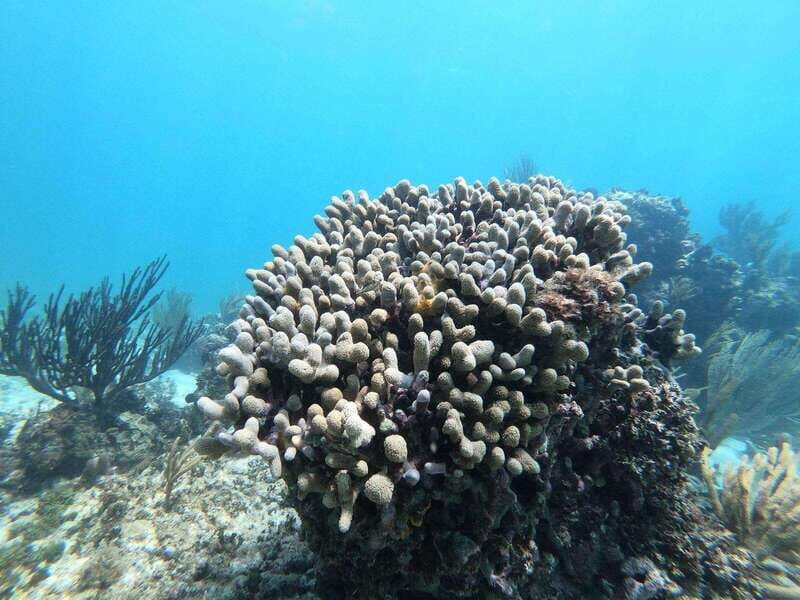 Tulum: Sailing tour - Final Thoughts