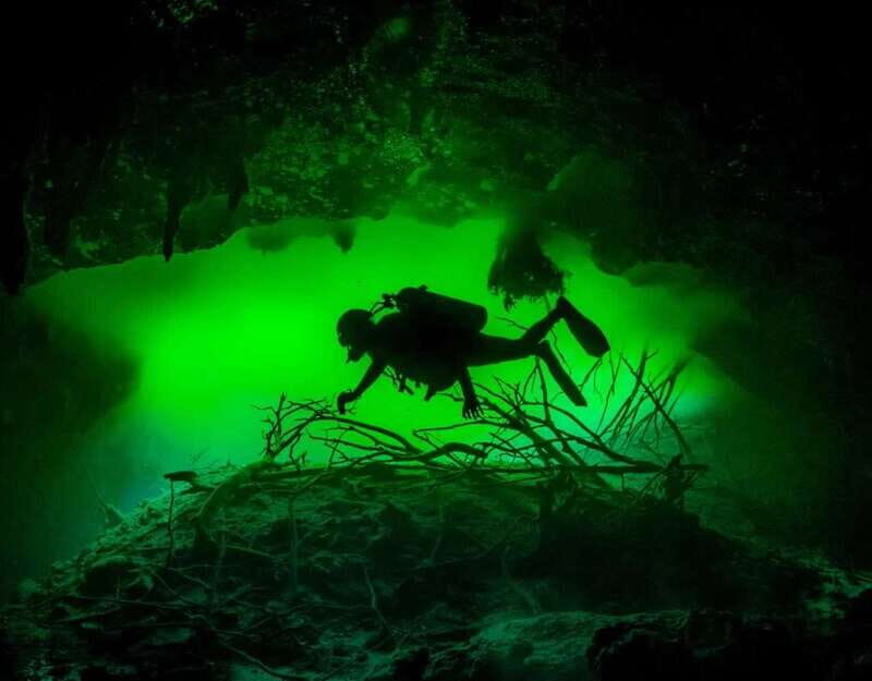 Tulum : Scuba in 2 cenotes including a deep one Pit Dos Ojos - Practical Details: What You Need to Know