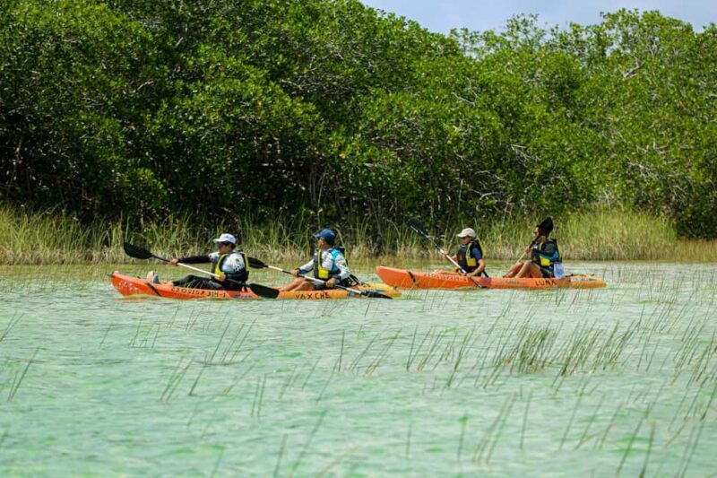 Tulum: Sian Ka'an Biosphere Reserve Kayak Tour - An Authentic Eco-Adventure Near Tulum