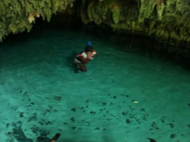 Tulum: Snorkel at the Cenotes and Underground Rivers - The Value of This Experience