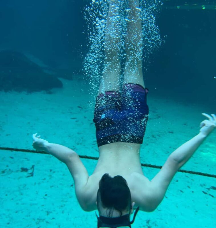 Tulum: Snorkel at the Cenotes and Underground Rivers - Final Thoughts