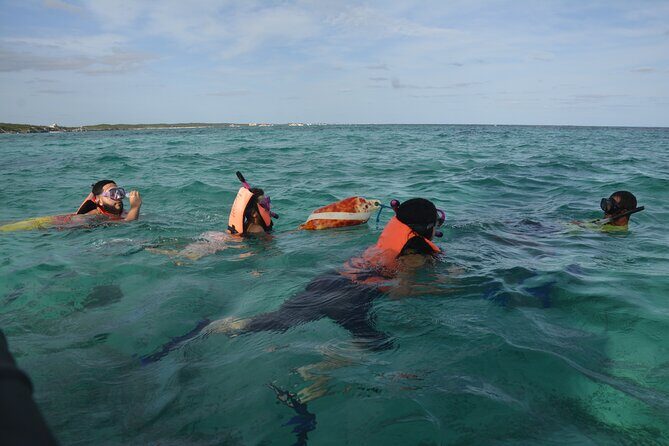 Tulum: Snorkeling and Private Sailing Tour - FAQ