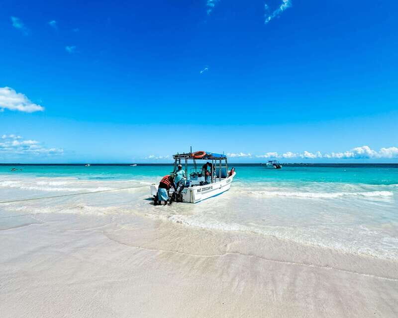Tulum: Sport Fishing Experience with Ceviche - Price and Value Analysis