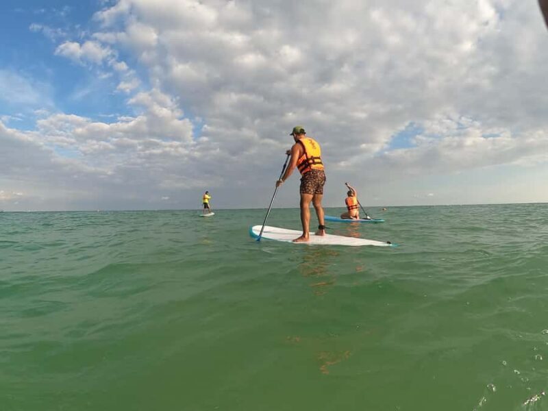 Tulum Stand-Up Paddleboard Tour - Key Points