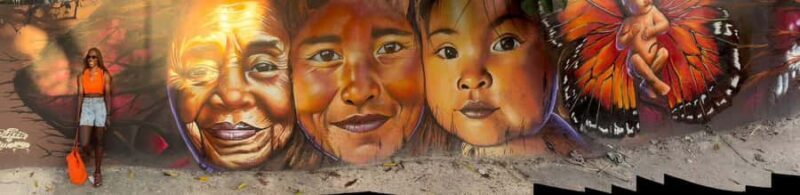 Tulum: Street Art and Gallery Tour - Key Points