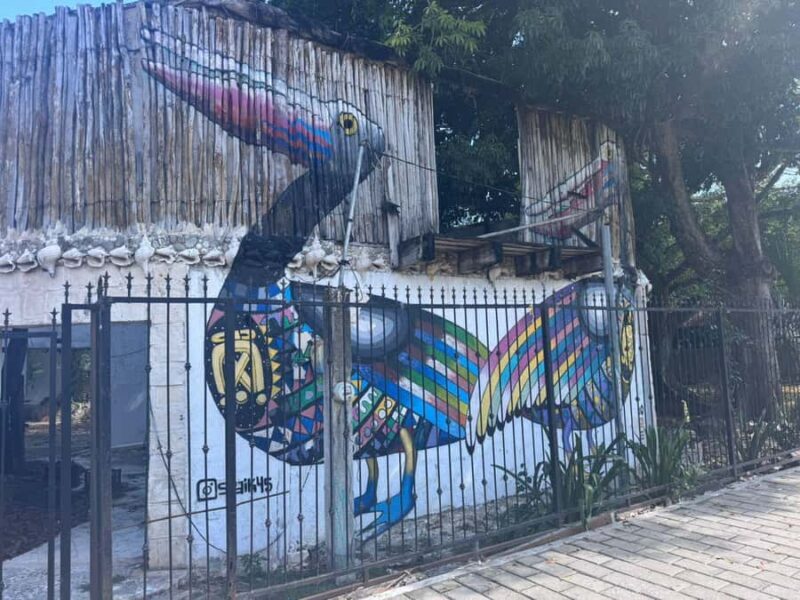 Tulum: Street Art and Gallery Tour - Final Thoughts: Why It’s Worth Considering