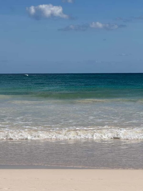 Tulum: Tulum Ruins and Sea Turtle Snorkeling Tour - An In-Depth Look at the Tour Experience