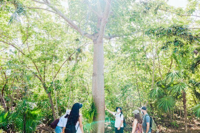 Tulum Unveiled In Expert Guided Tour for True History Enthusiasts - The Benefits of Private Transportation and Snacks