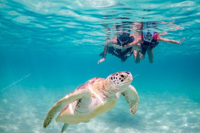 Tulum VIP Private Tour with Sea Turtles & Cenote  Award-Winning - Exploring the Itinerary: An In-Depth Look