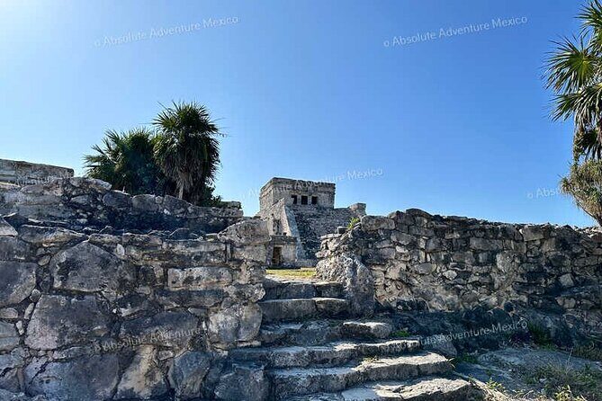 Tulum VIP Private Tour with Sea Turtles & Cenote  Award-Winning - Frequently Asked Questions (FAQs)